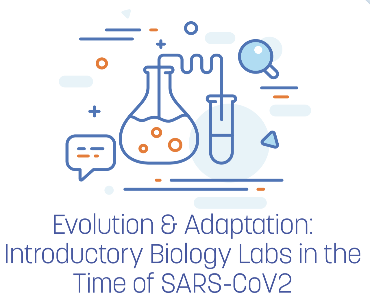 Evolution & Adaptation: Introductory Biology Labs in the Time of SARS ...