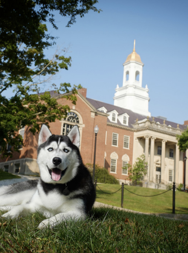 From Our Faculty Coordinators: Mary Bernstein, Ph.D | UConn ECE Magazine